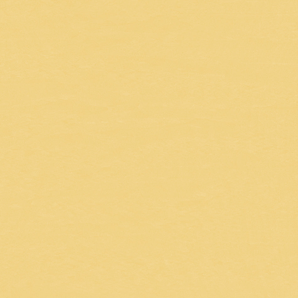 Wallflex Flooring Collection - Armstrong Flooring AU