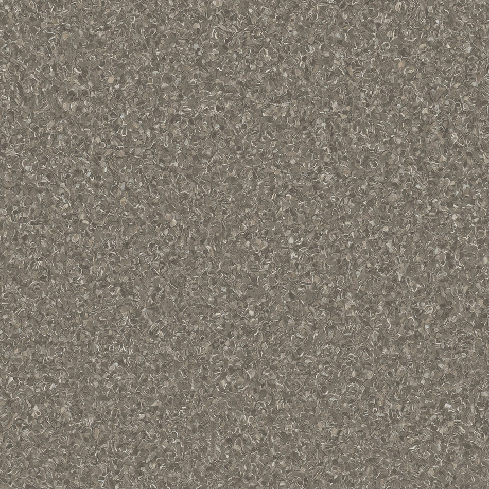 Ironbark Vinyl Flooring - Accolade Plus - Armstrong Flooring AU